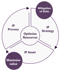 IP Audit Services - IP and R&D Evalueserve