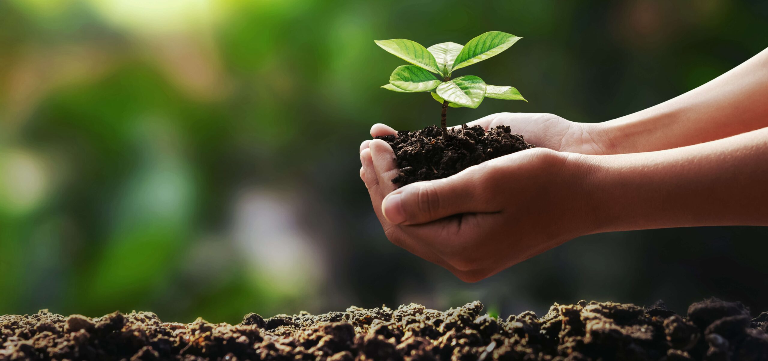 Environmental Sustainability Services - IP and R&D Evalueserve