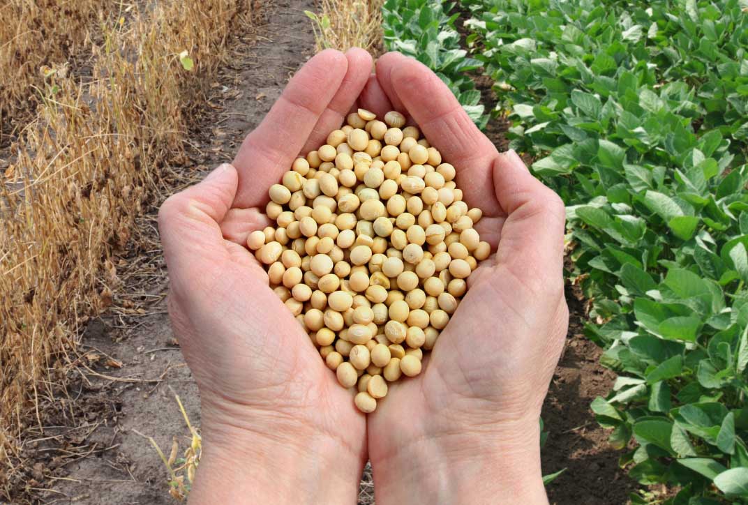 Water-Soluble Films for Agriculture | IP and R&D Evalueserve